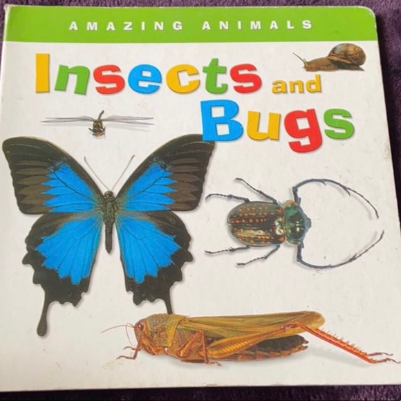 Other | Insect And Bug Book | Poshmark